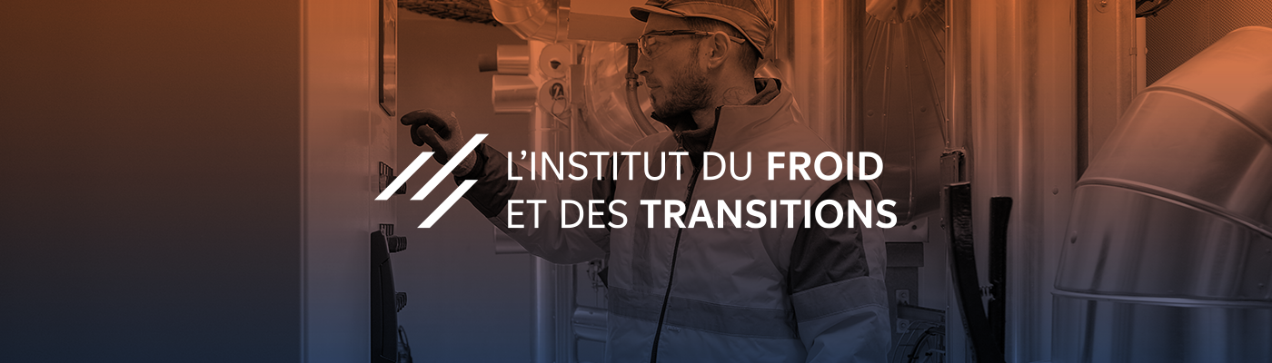 Création de L’institut du froid et des transitions (Dalkia) - Wild&Slow